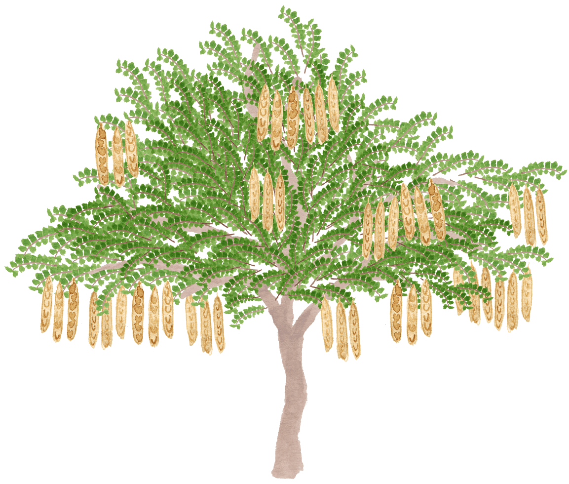 Visit - AIRSIDE – A New Shopping & Office Landmark at Kai Tak | Nan ...